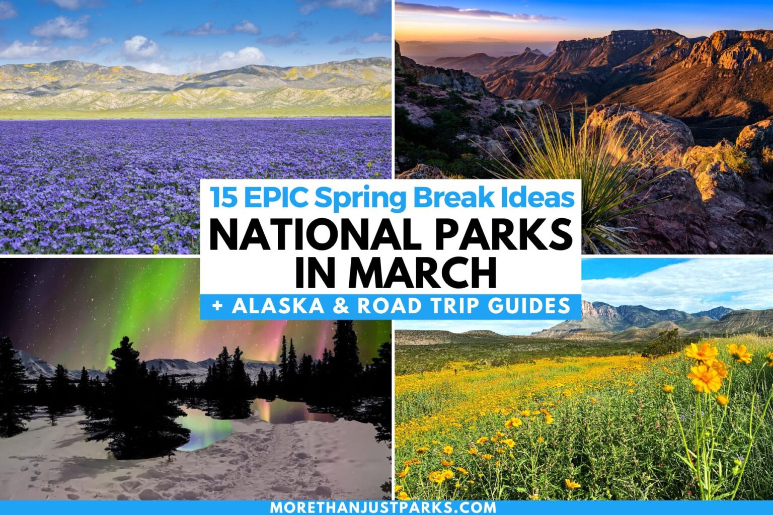 15 BEST National Parks to Visit in March (+Road Trip Guide)