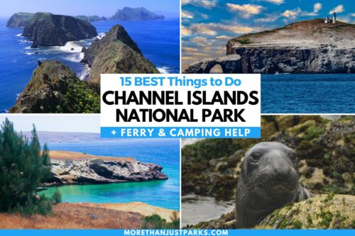 15 BEST Channel Islands Nat'l Park Things to Do (+Ferry Guide)
