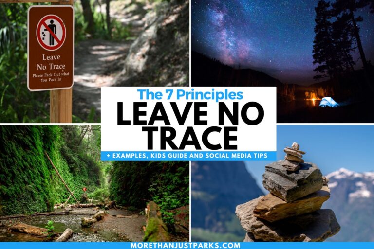 7 Leave No Trace Principles Simplified (+Examples, Kids Guide)