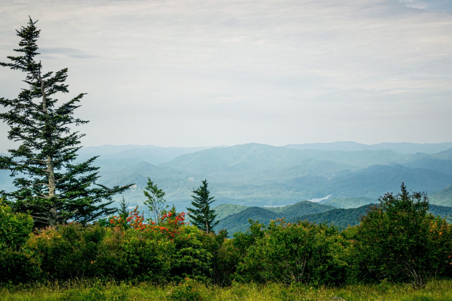 EPIC Andrews Bald Hike in Great Smoky Mountains National Park