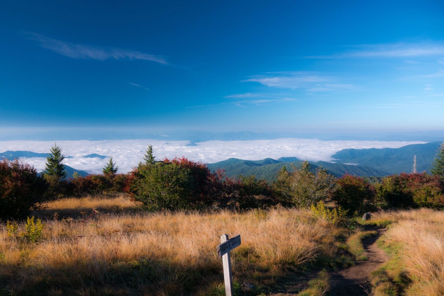 EPIC Andrews Bald Hike in Great Smoky Mountains National Park