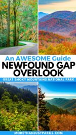 Visiting Newfound Gap Overlook (Video, Helpful Tips + Photos)