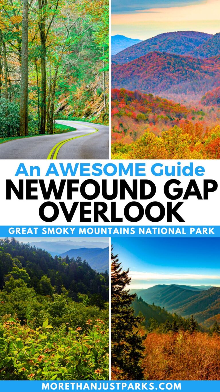 Visiting Newfound Gap Overlook (Video, Helpful Tips + Photos)