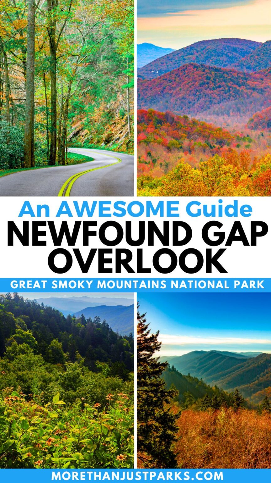 Visiting Newfound Gap Overlook (Video, Helpful Tips + Photos)
