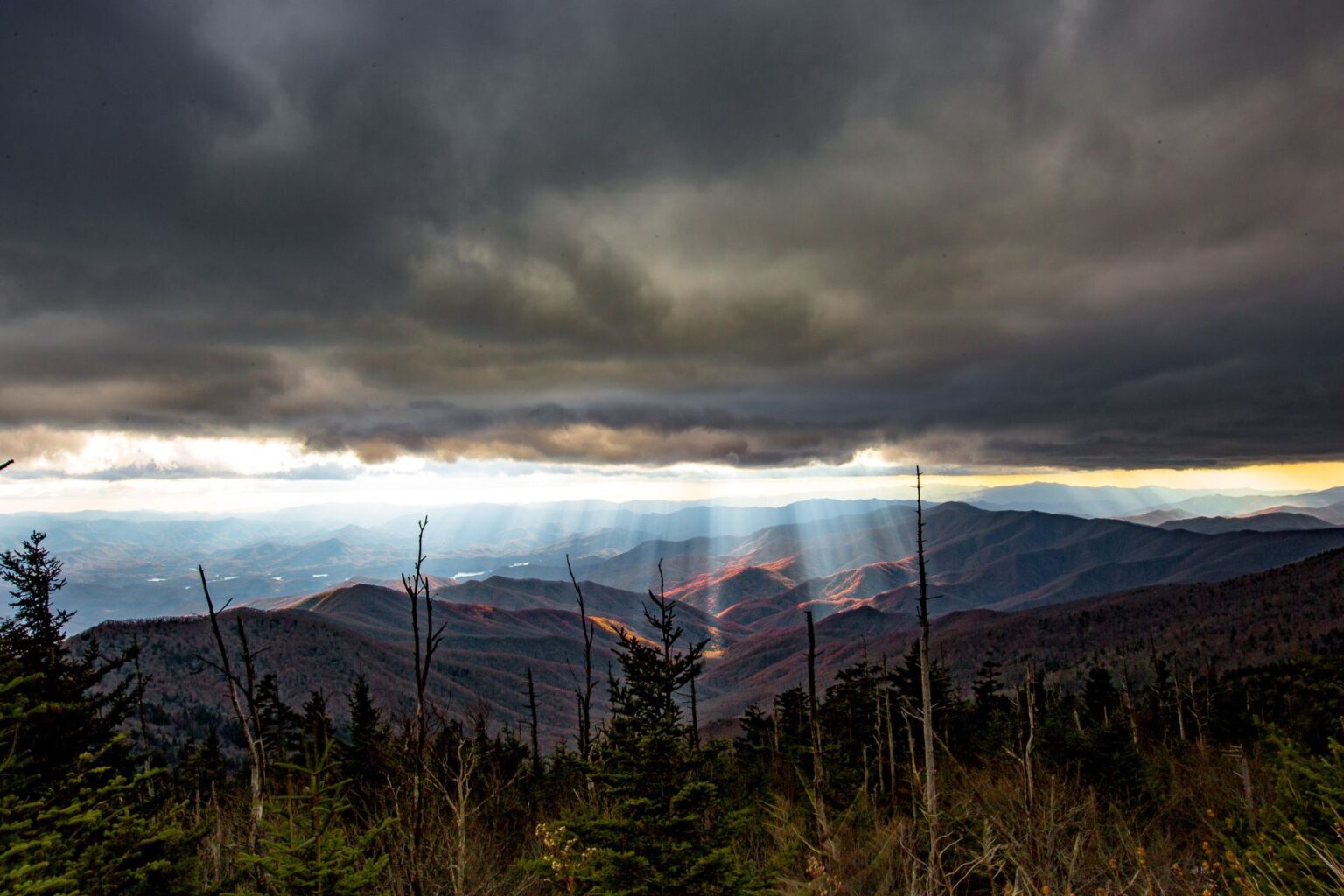 Clingmans Dome at Great Smoky Mountains Tips, Tricks, & Secrets