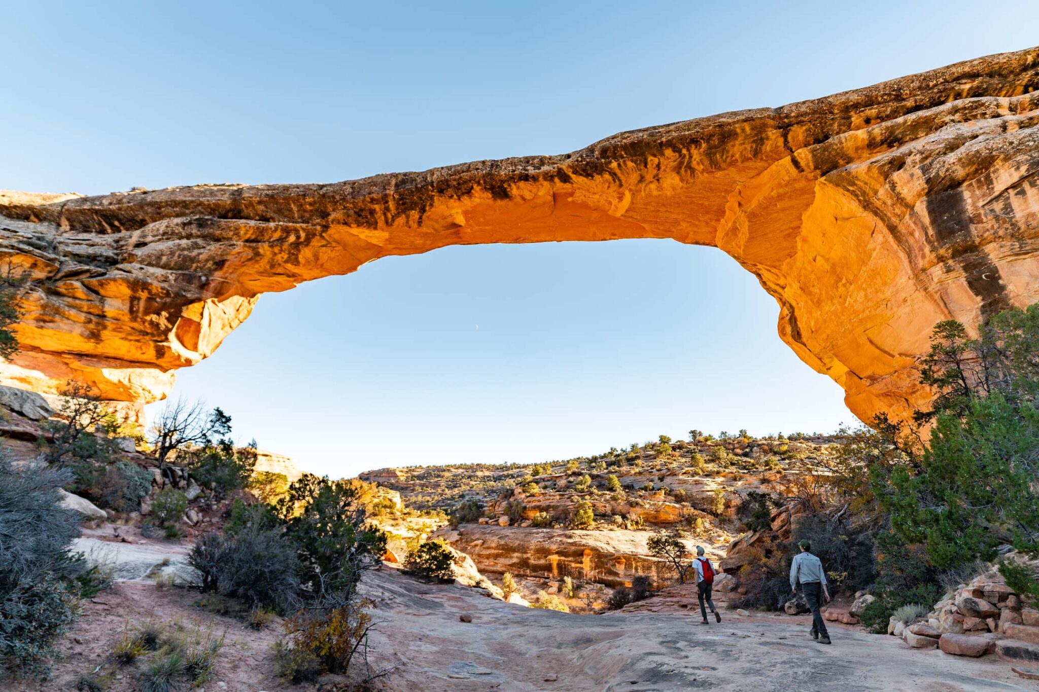 Natural Bridges National Monument: Utah's Dark Sky Wonderland