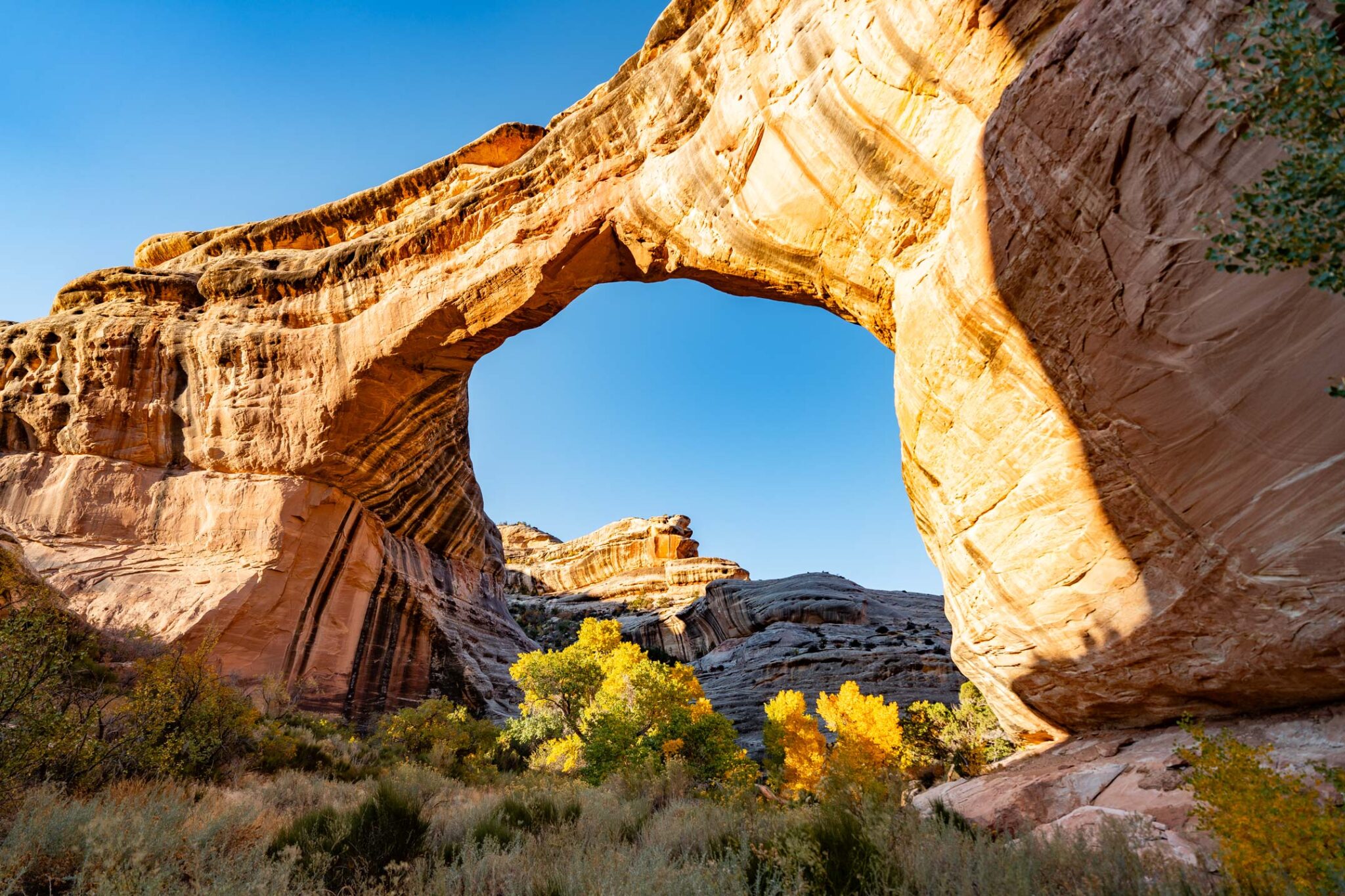 Natural Bridges National Monument: Utah's Dark Sky Wonderland