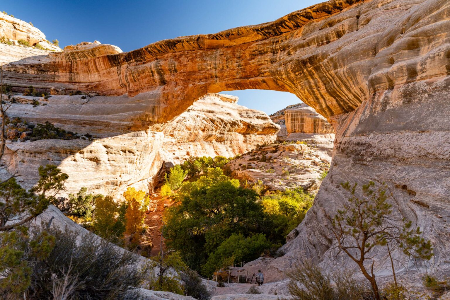 Natural Bridges National Monument: Utah's Dark Sky Wonderland