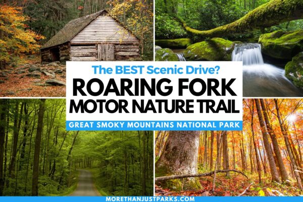The ULTIMATE Smokies Guide to Roaring Fork Motor Nature Trail