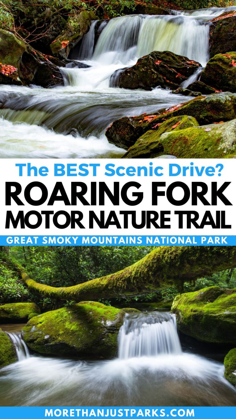 The ULTIMATE Smokies Guide to Roaring Fork Motor Nature Trail