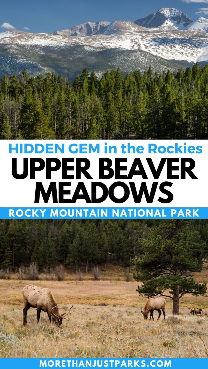 Rocky Mountain Nat'l Park HIDDEN GEM | Upper Beaver Meadows