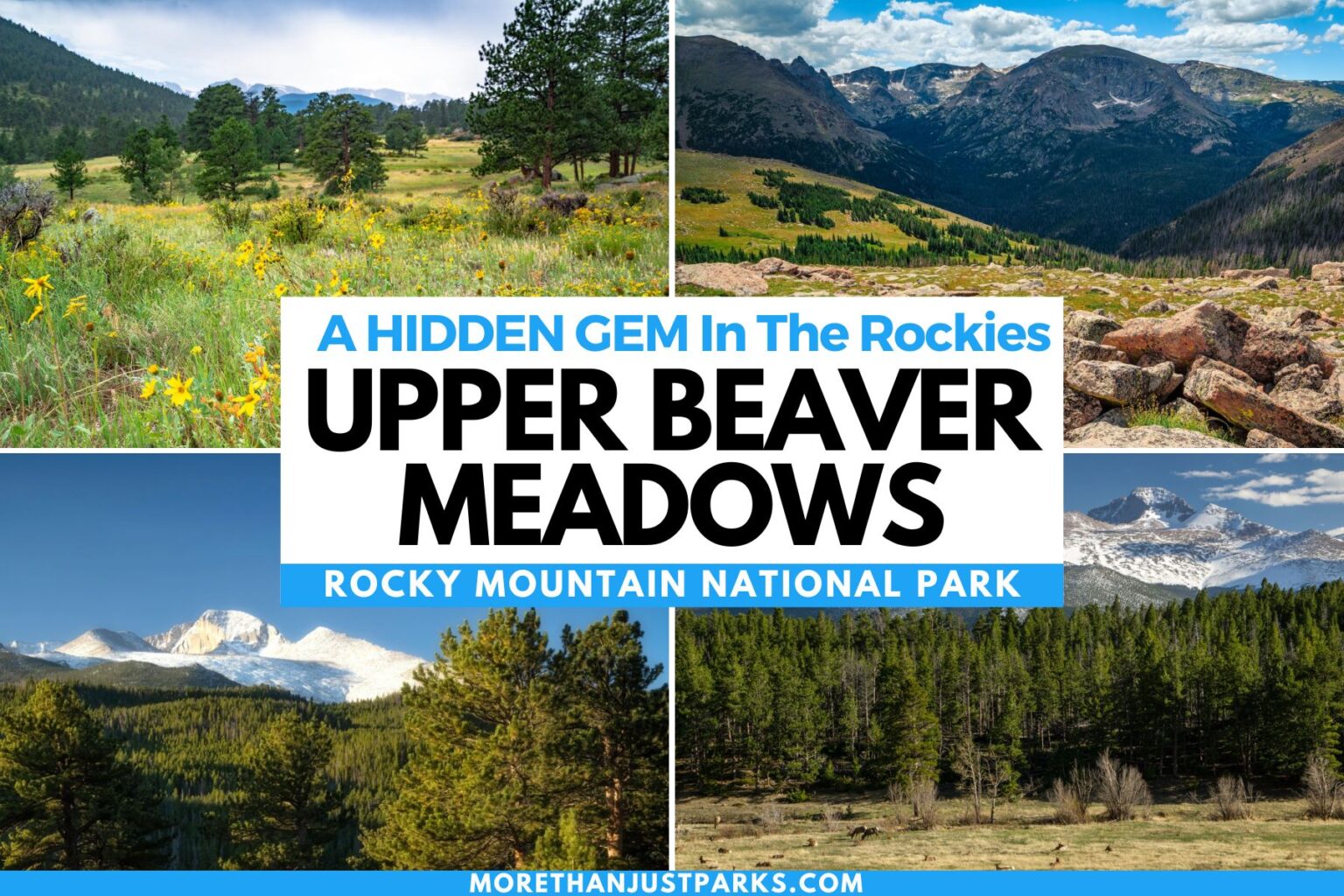 Rocky Mountain Nat'l Park HIDDEN GEM | Upper Beaver Meadows