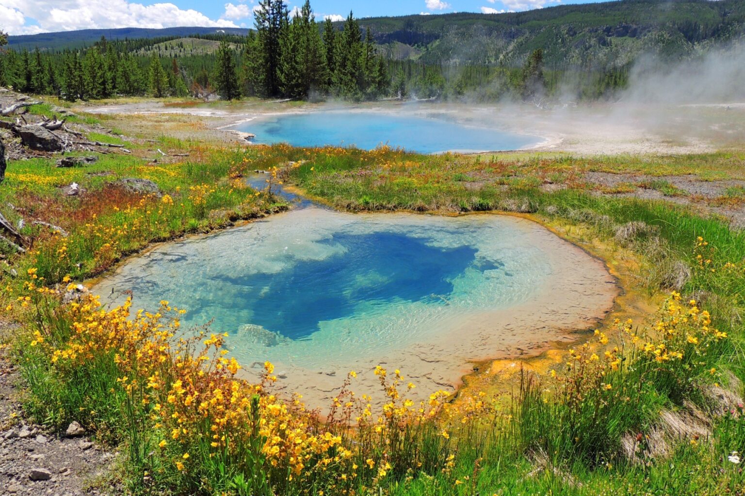 Yellowstone in May | The Weather Planning Guide Everyone Needs