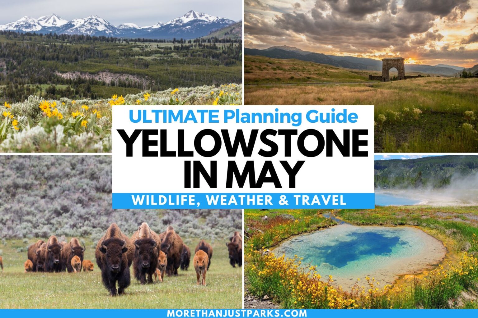 Yellowstone in May | The Weather Planning Guide Everyone Needs